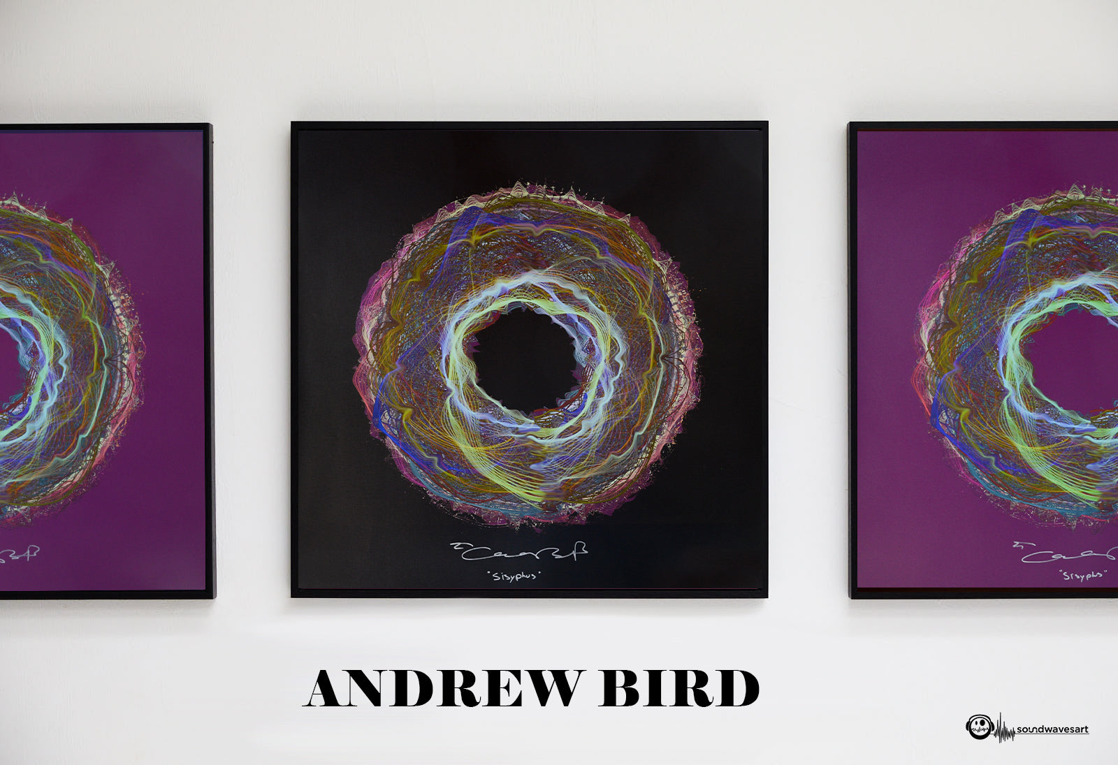 Andrew Bird – Soundwaves Art Foundation