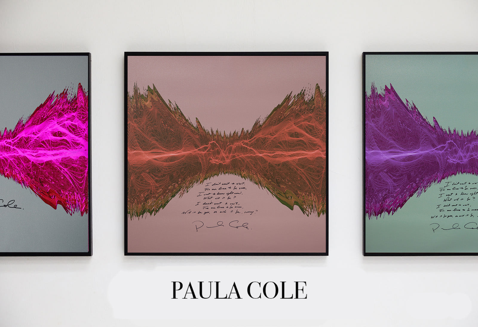 Paula Cole – Soundwaves Art Foundation